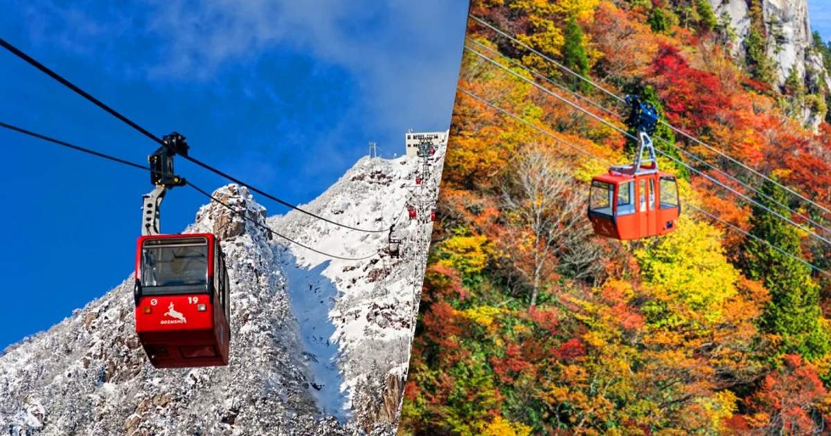 Chuyến đi trong ngày về những bông hoa nổi tiếng và cáp treo Gozai - Klook Việt Nam